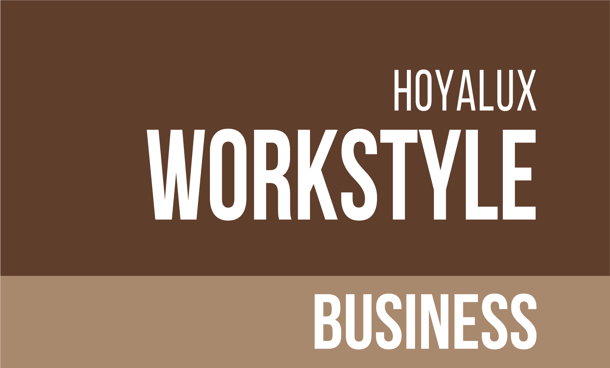 Hoyalux WorkStyle Business - The Vision Optic